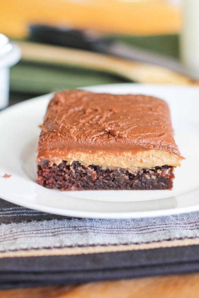 Peanut Butter Fudge Cake