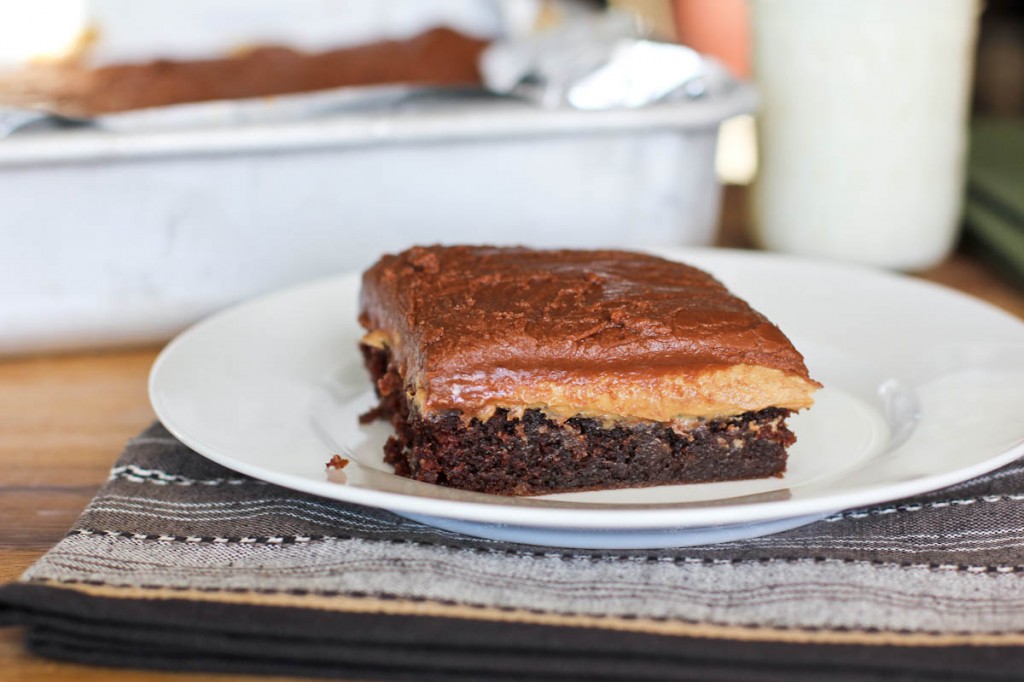 Peanut Butter Fudge Cake